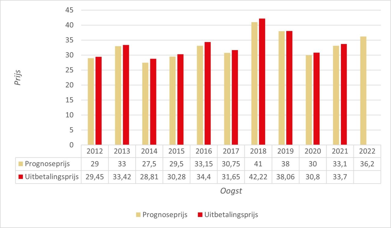 Goede pootgoed- prijs verwacht voor telers HZPC › HZPC