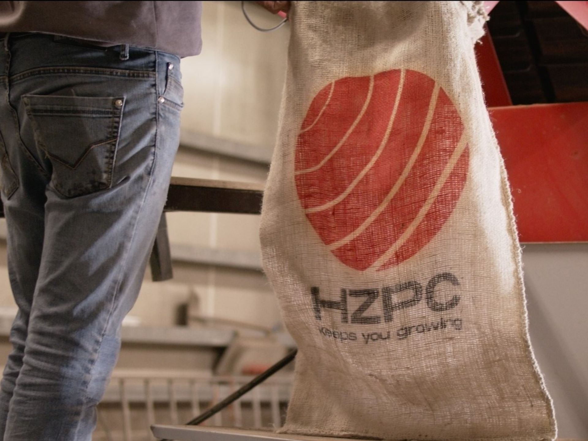 Potato Innovators since 1898 › HZPC