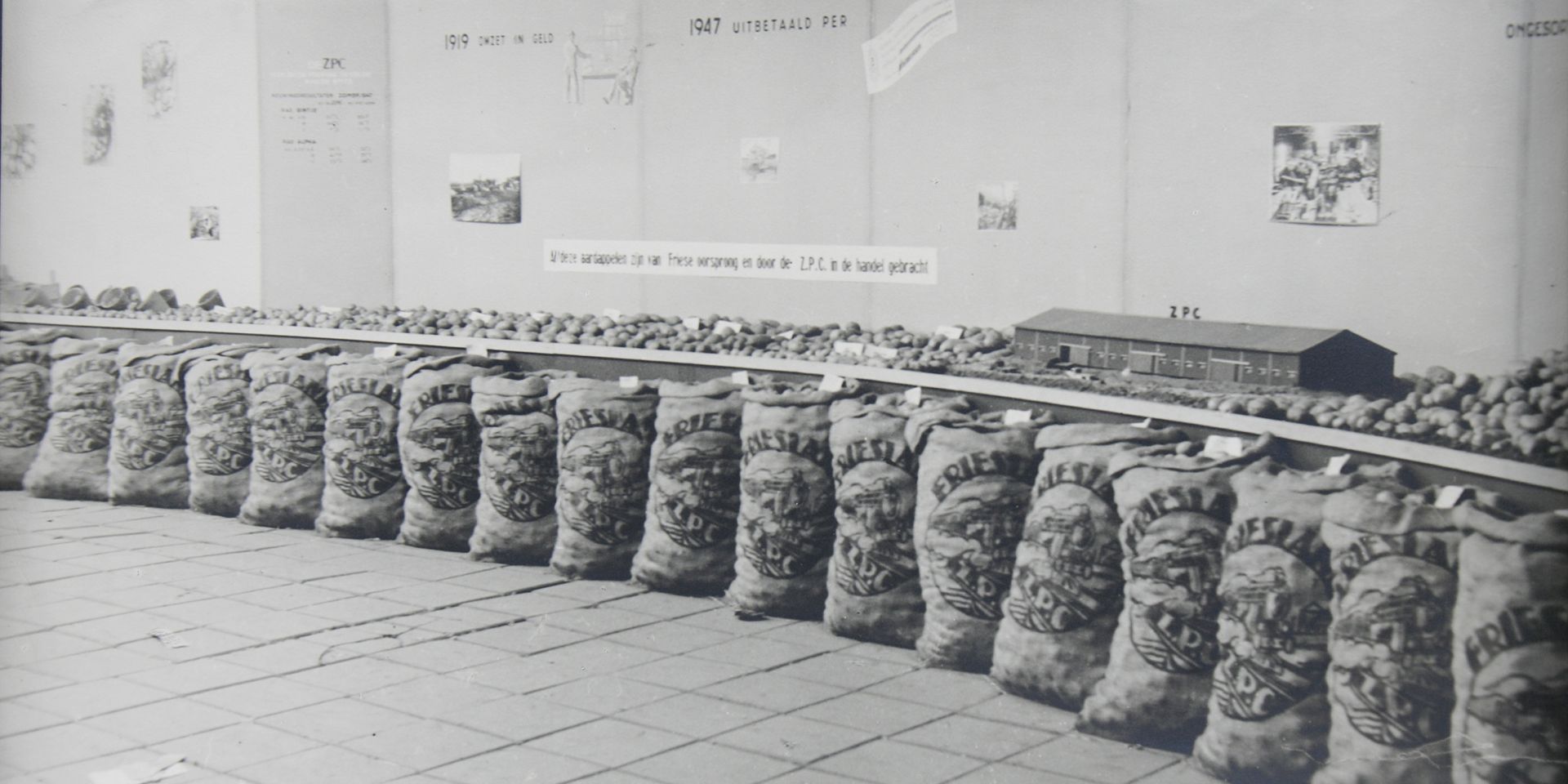 Establishment of ZPC › HZPC