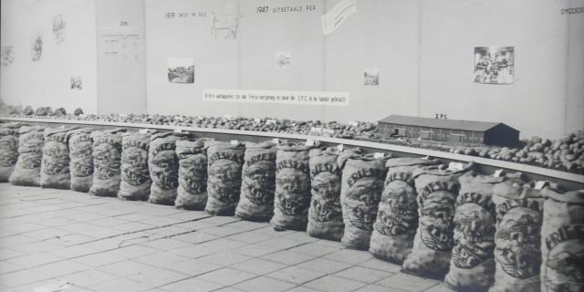 Establishment of ZPC › HZPC