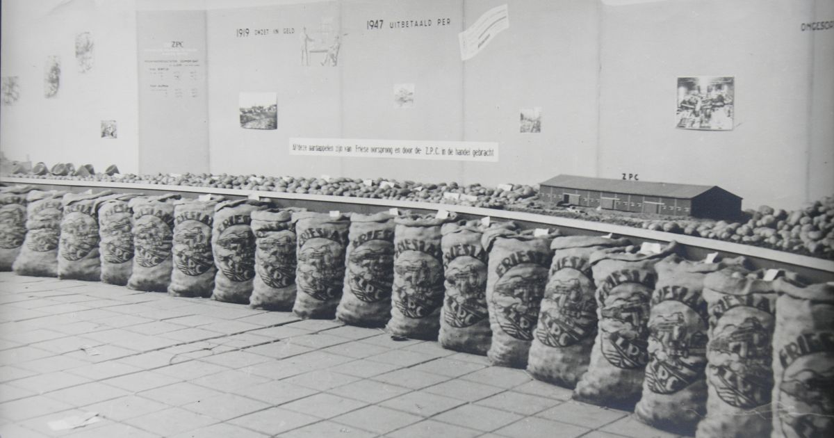 Establishment of ZPC › HZPC