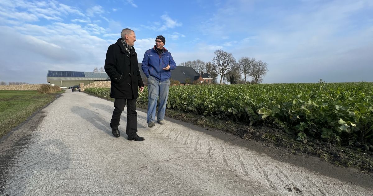 Growers group works on future-proof seed potato cultivation › HZPC