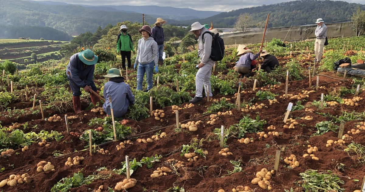 Using tropical varieties to make significant improvements › HZPC