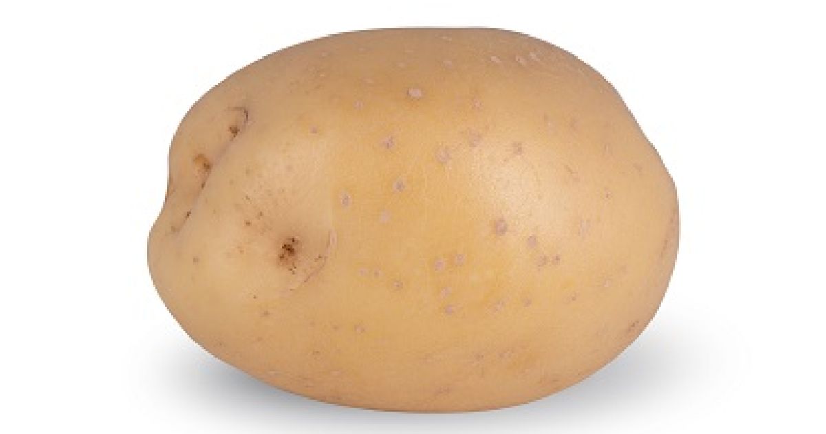 Normandeline › HZPC