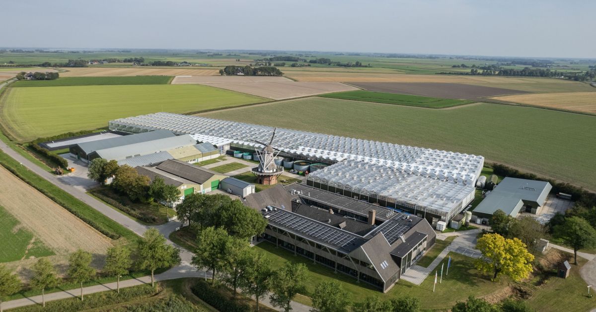 Contact HZPC › HZPC