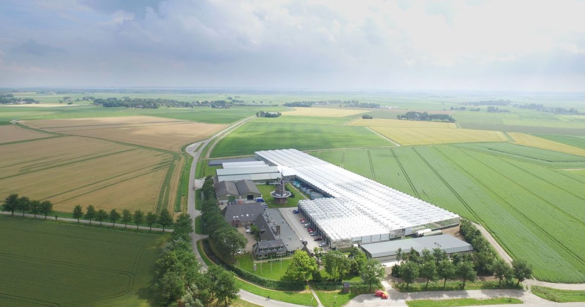 Contact HZPC › HZPC