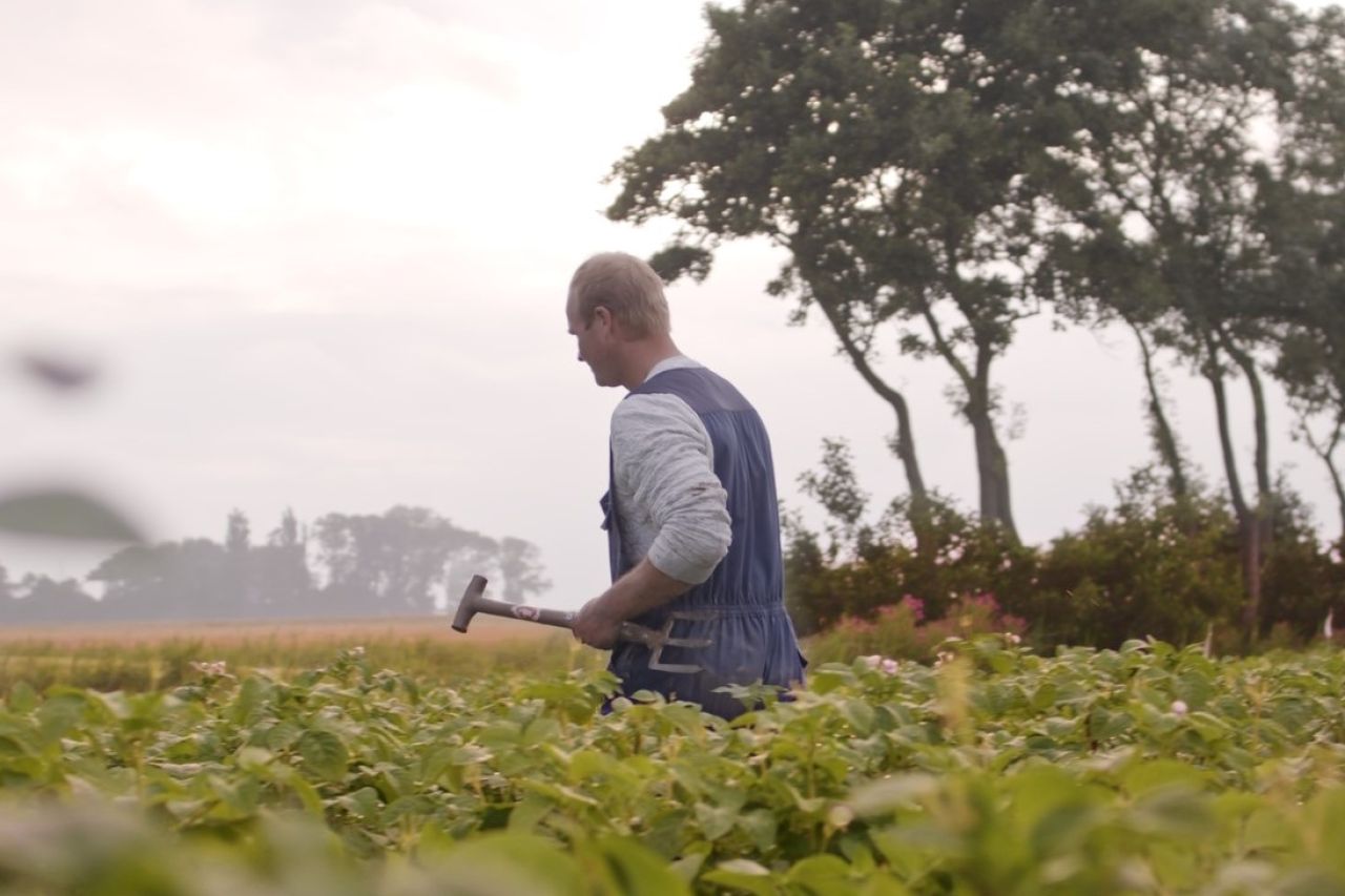 HZPC Online › HZPC