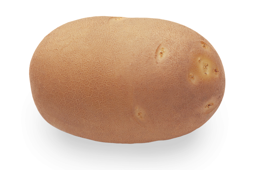 HZPC - Keeps you growing