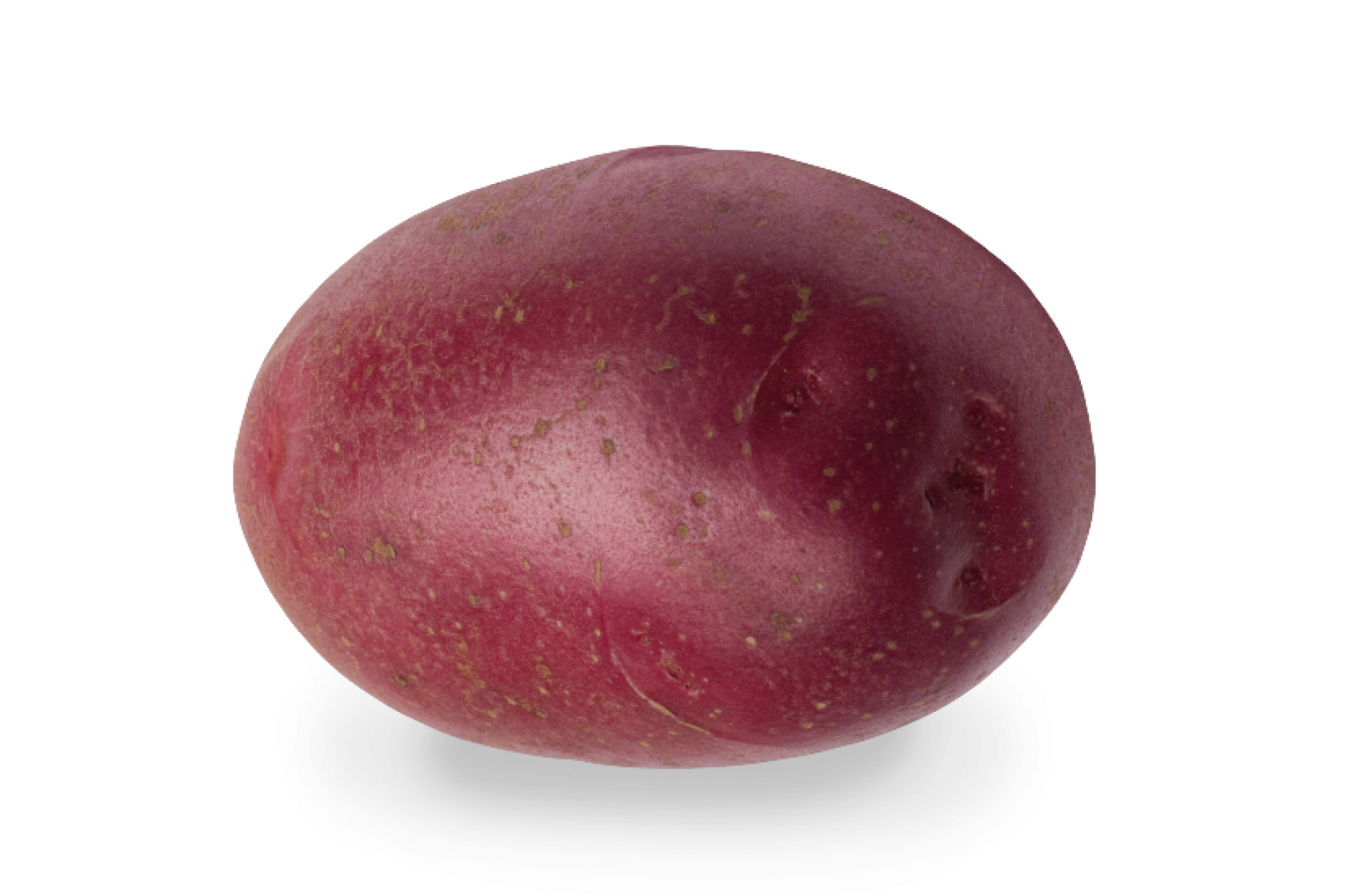 HZPC - Keeps you growing