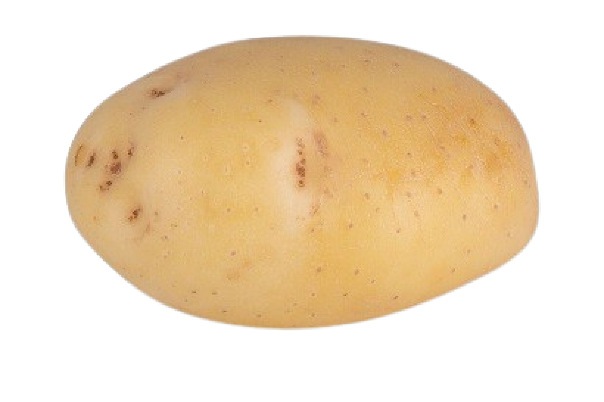 HZPC - Keeps you growing